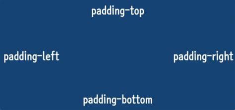 2주차 HTML CSS 5 Box Model