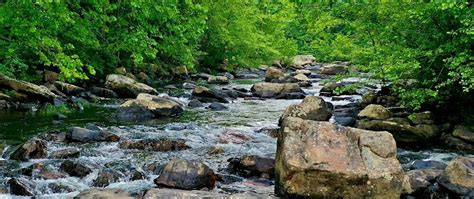 Streaming In Sveltekit Without Javascript Dev Community