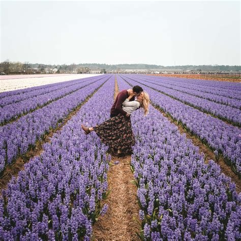 Ultimate Guide To Tulips In Holland Keukenhof Tulip Fields And More In