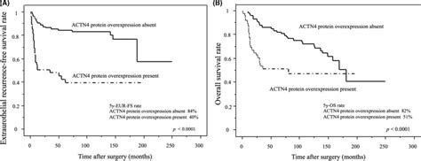 Kaplanmeier Estimates Of A Extraurothelial Recurrence‐free Survival Download Scientific