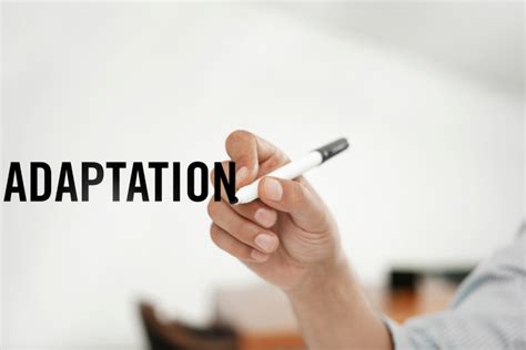 Cross Validation Einfach Erklärt Data Basecamp