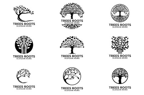 Premium Vector Set Of Trees And Roots Logo Design Vector Illustration