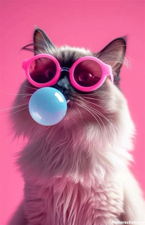 22 عکس از گلچینی از پروفایل فانتزی گوگولی برای شما