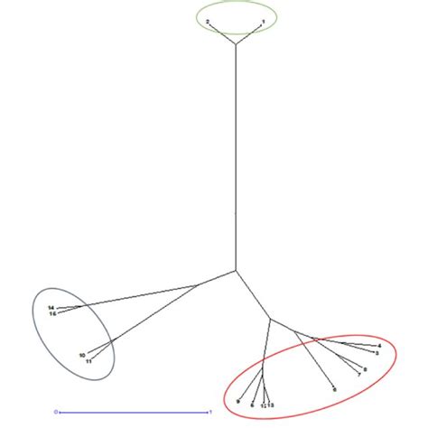 Dendrogram Of The 15 Wps Using Squared Euclidean Distances Based On 17