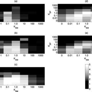 Optimization of parameters K SP and K SM Using β and different