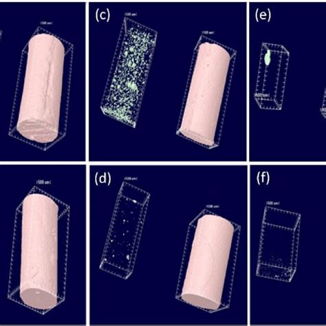 Representative Three Dimensional Reconstruction Models Indicating Download Scientific Diagram