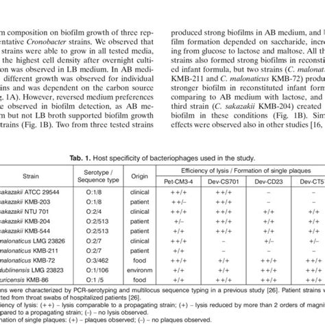Growth And Biofilm Formation Of Cronobacter Strains In Various Media A Download Scientific