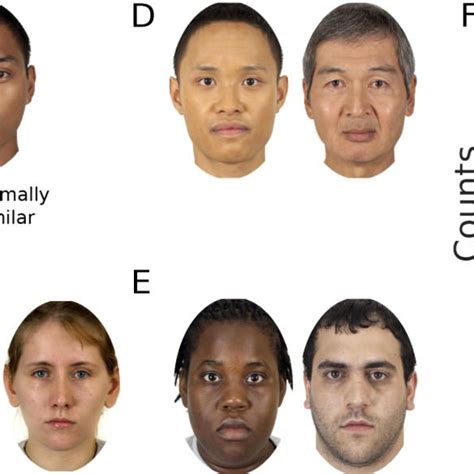 A Schematic Of A Trial From Data Collection B C Low Similarity