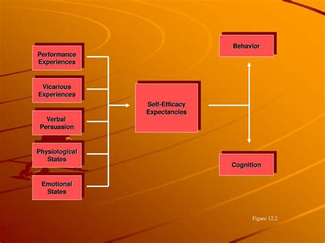 Ppt Social Cognitive Theory And Physical Activity Powerpoint Presentation Id5499402