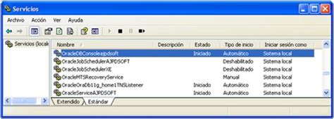 Instalar Oracle Database 11g Standard Edition En Windows Acp Servicios Informáticos