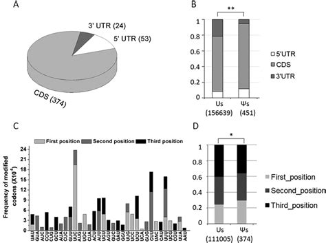 Pseudouridine Distributions In Arabidopsis Mrna Transcripts And In