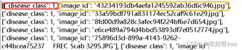 json转txt、imagenet格式 把自己的数据集转换为imagenet格式 csdn博客
