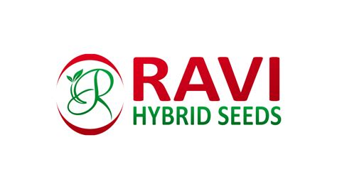 Ravi Hybrid Seeds Buy Online In India At Best Price Desikheti