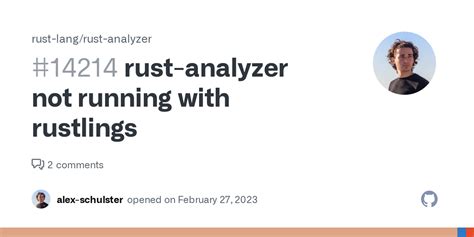 rust analyzer not running with rustlings · issue 14214 · rust lang