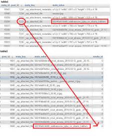Mysql Insert Id Comparing Between Two Tables Stack Overflow