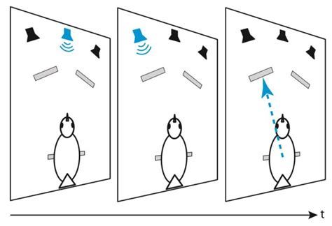 5 example for a relative localization experiment with a direction