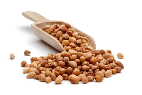 38 Facts About Mahleb