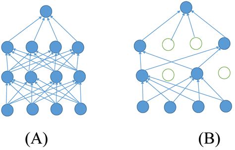 dropout method neural networks at carla apgar blog