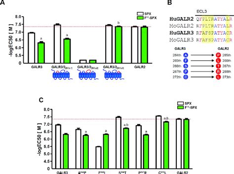 Identification Of Core Amino Acid Residues Of The Ecl Domain That Are