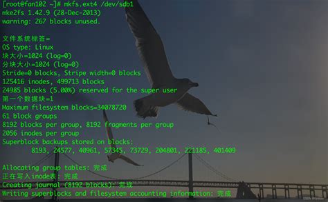 linux下磁盘分区、挂载实操 linux下 gpt分区操作 csdn博客