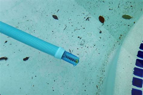 The 5 Best Suction And Pressure Side Pool Cleaners Tested And Reviewed