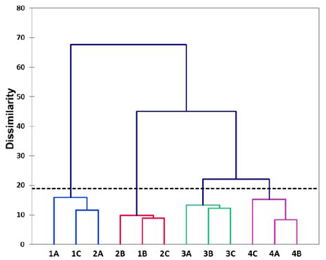 Figure B3 Hierarchical Cluster Analysis Hca Conducted On The Samples