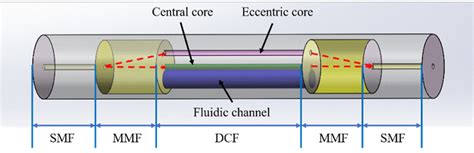 schematic illustration of the smf mmf dcf mmf smf structure of the