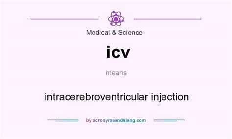 Icv Intracerebroventricular Injection In Medical And Science By