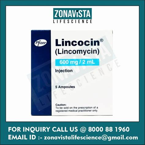 Lincomycin Injection 600mg At ₹ 580 Piece Antibiotic Injection In