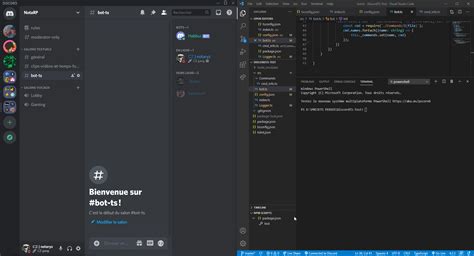Bot Discord En Typescript Partage De Bot Inshare