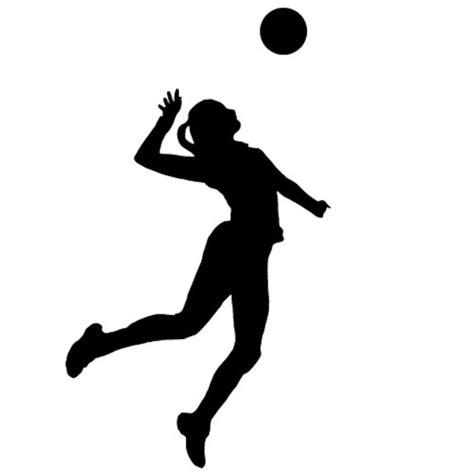volleyball svg bundle svg volleyball net svg png vector etsy