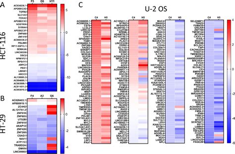 Genome Wide Rna Sequencing Of The Differentially Regulated Genes After Download Scientific