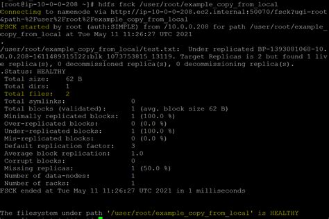 How To Run The Hdfs Filesystem Checking Utility