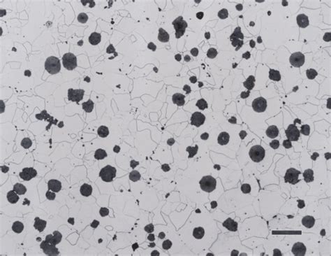 Grey Cast Iron Microstructure