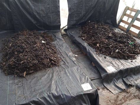 Application Of Microorganisms To Improve The Composting Products Of