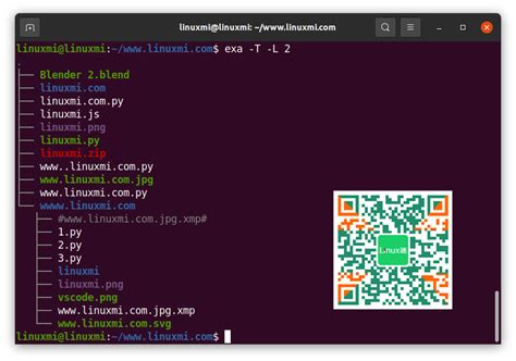 为什么我在linux上使用exa而不是ls linux迷