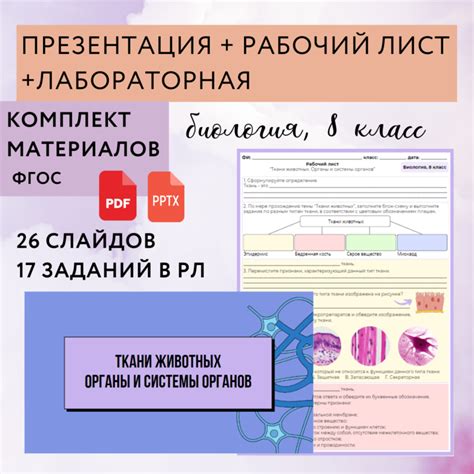 Урок по биологии “Ткани животных Органы и системы органов животных” 8 класс презентация