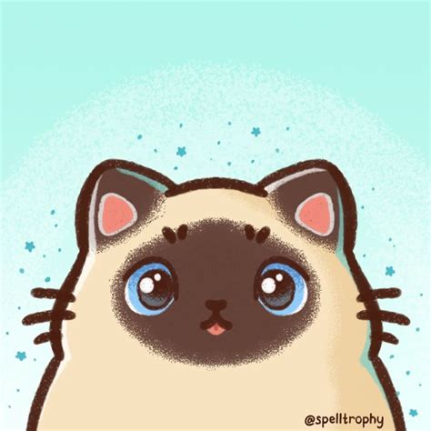 Blep Thai Siamese Cat