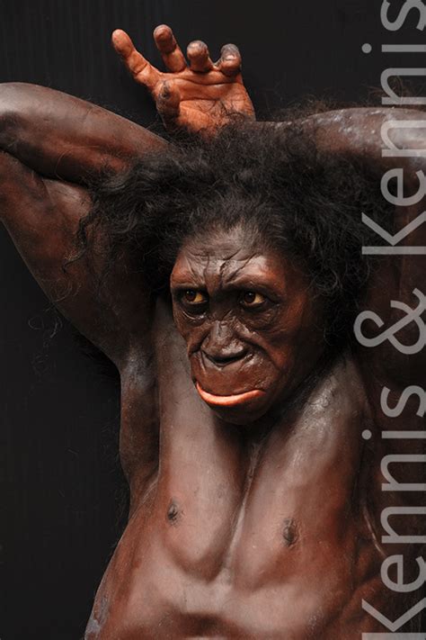 Australopithecus Sediba