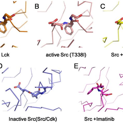 The Dfg Motif Conformation A Active Lck Dfg In Conformation Pdb