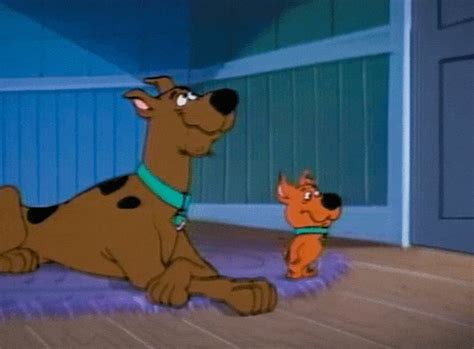 Scrappy Doo  Everything Is Funny Just Look Closer™ — While