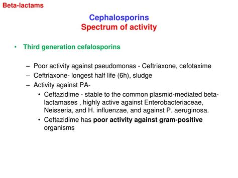 Ppt Antibiotics Powerpoint Presentation Free Download Id6329883