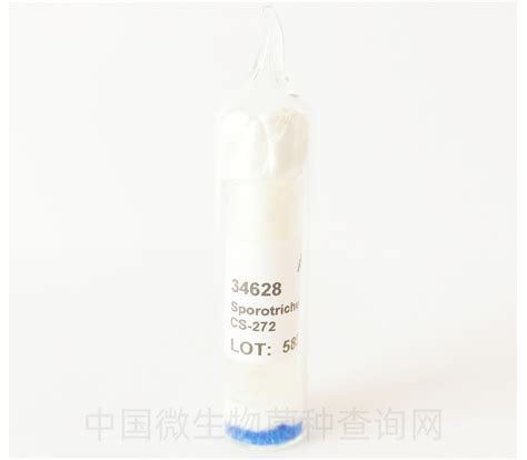 美国atcc 微生物菌种查询网 Atcc 菌种 质粒 细胞系