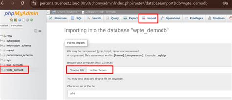How To Importexport A Mariadbmysql Database On Cyberpanel