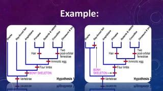 Parsimony Methods PPTX