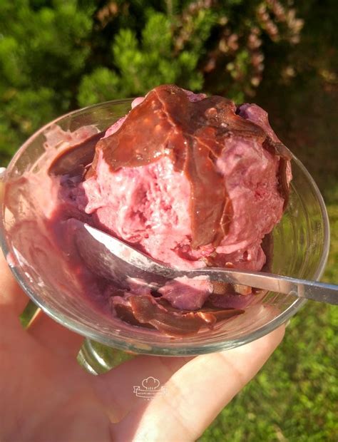 Raw Sladoled Od Maline