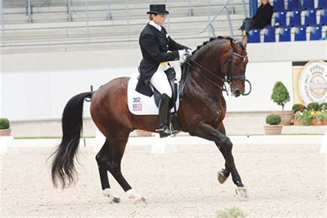 Voltaire (horse) - Alchetron, The Free Social Encyclopedia