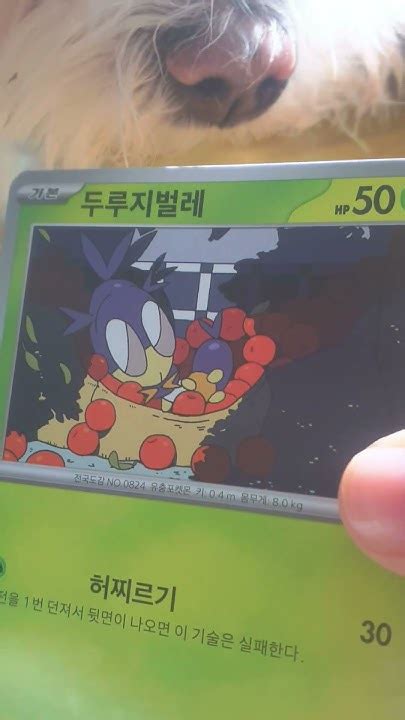 포켓몬카드 미래의일섬 Youtube