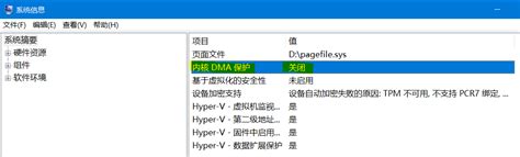 Windows系统内核dma保护开启 远程电脑维修 Dnpu