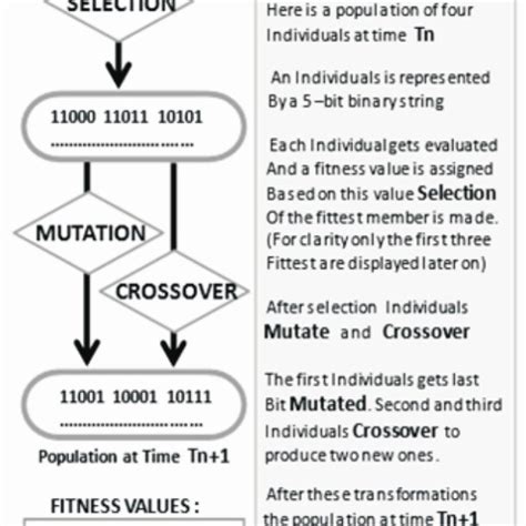 Flowchart For Genetic Algorithm Operation Download Scientific Diagram